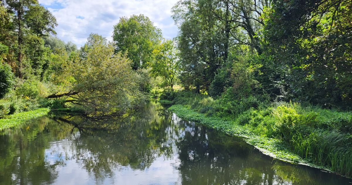 Uxbridge and Denham Country Park - Ramblers